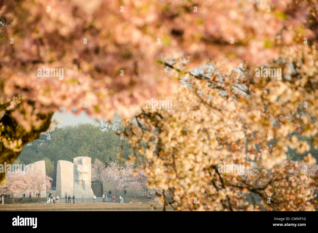Blossom tunnel memorial hi-res stock photography and images - Alamy