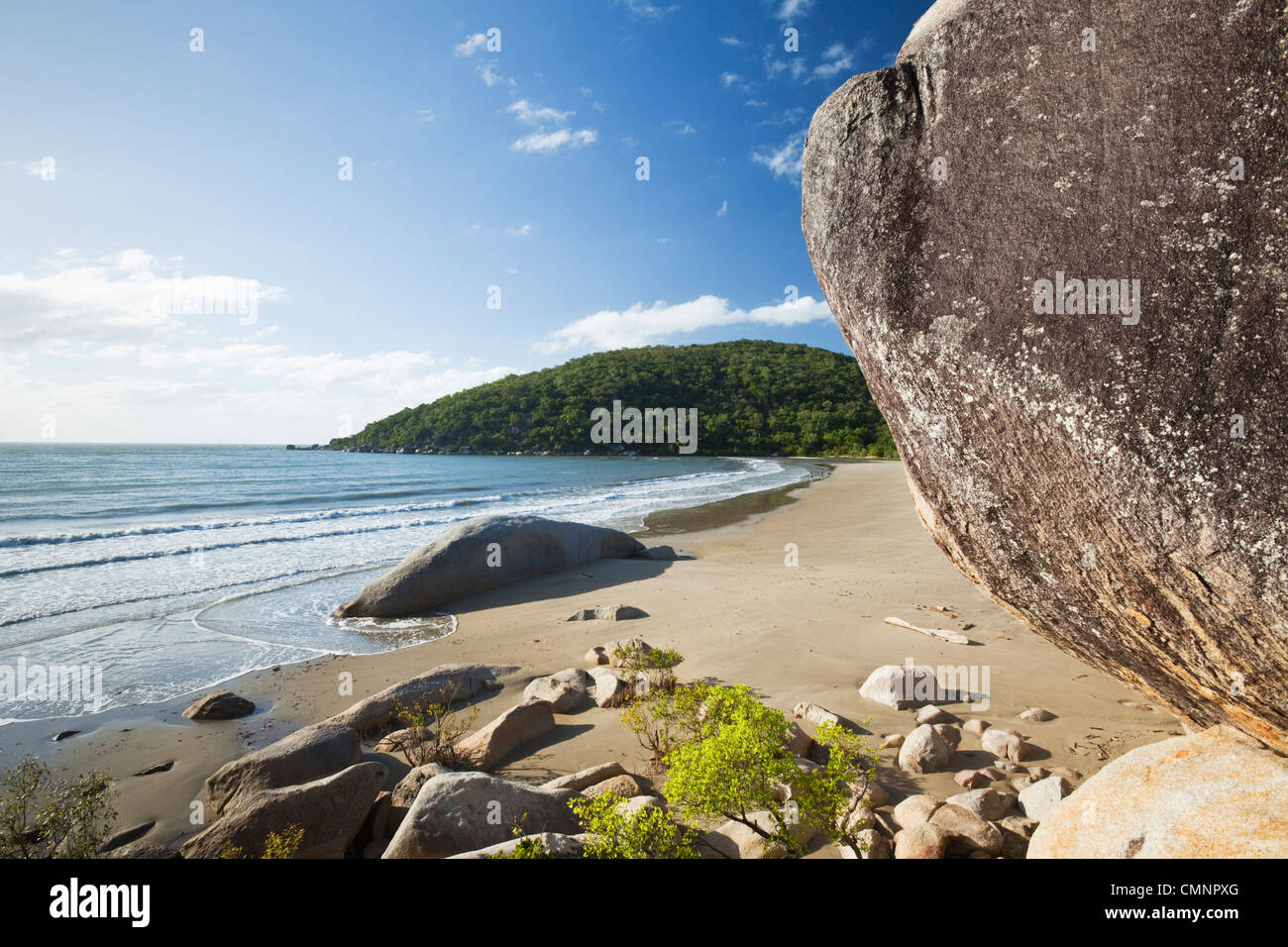 Australian beach cherry hi-res stock photography and images - Alamy