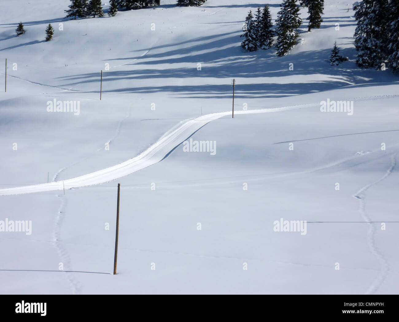 Ski slope in snowy mountain with few fir trees Stock Photo - Alamy
