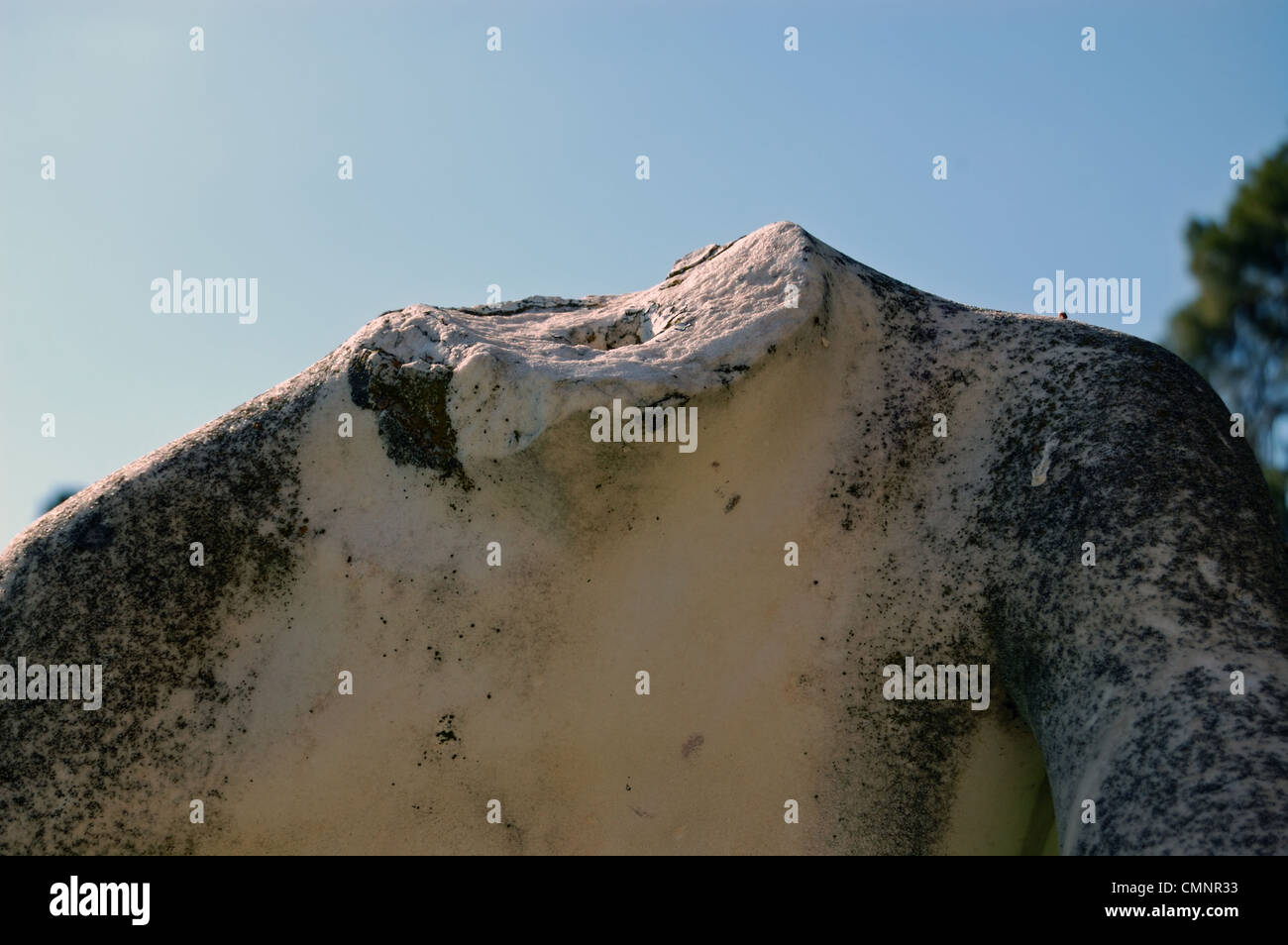 Detail of a vandalized headless marble statue sculpture Stock Photo - Alamy
