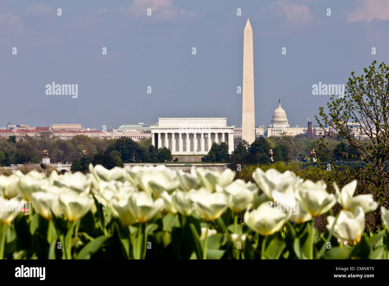 Washington dc skyline hi-res stock photography and images - Alamy