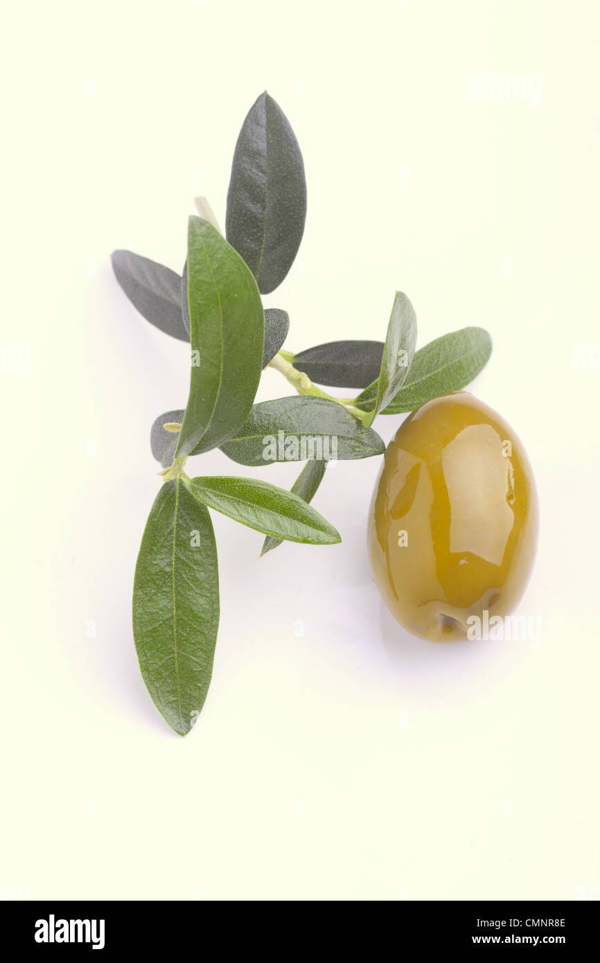 A single green olive on white Stock Photo - Alamy