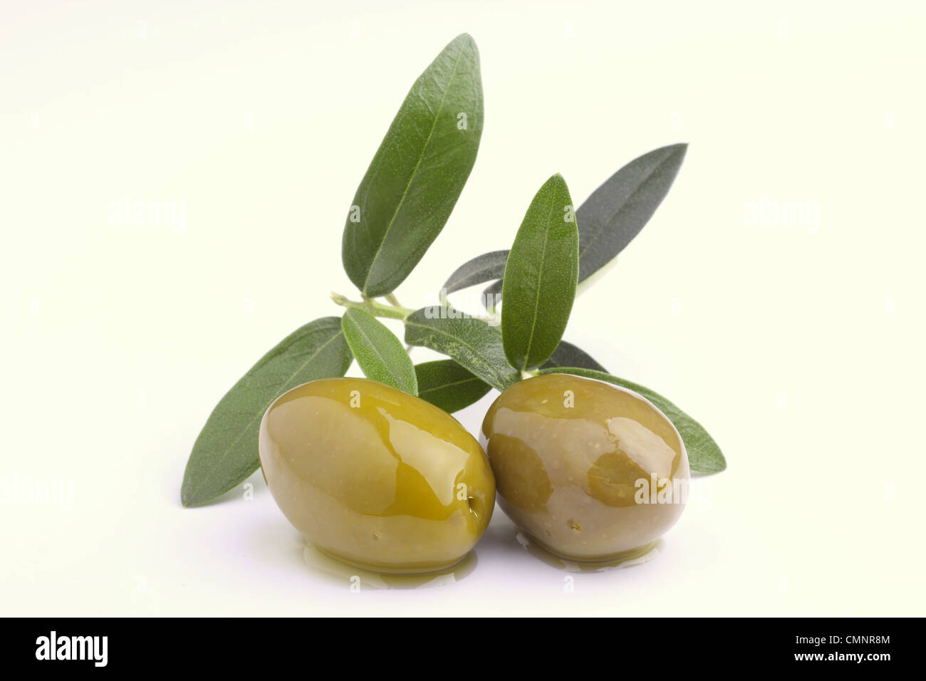 Two olives on branch hi-res stock photography and images - Alamy
