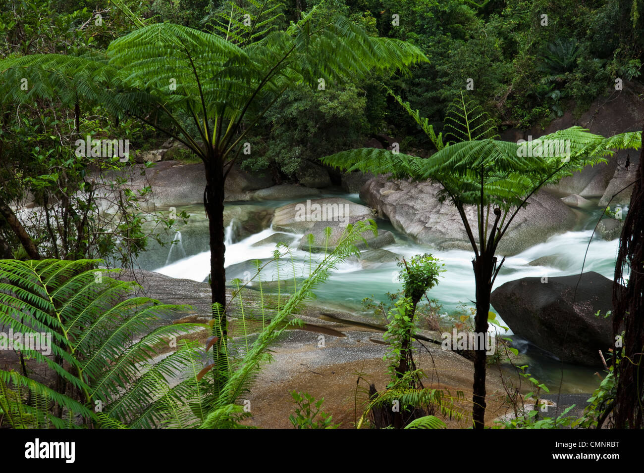 View through ferns to Devil's Pool at Babinda Boulders. Babinda ...