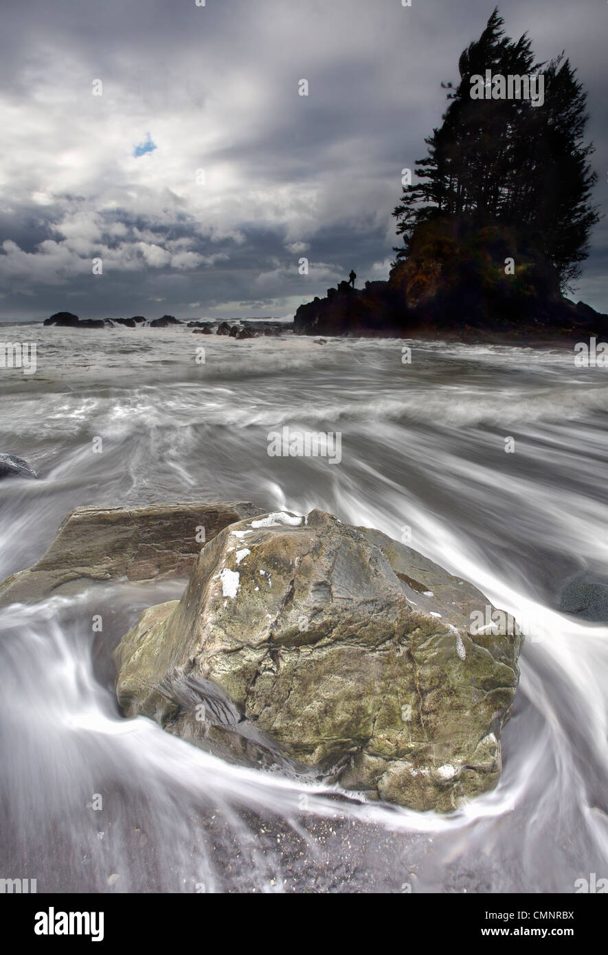 Botany bay silhouette hi-res stock photography and images - Alamy