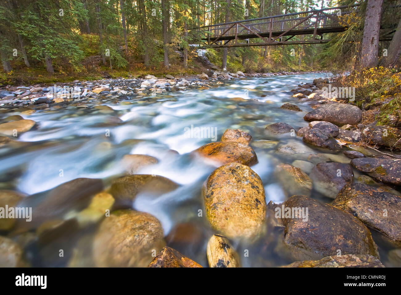 Johnston Canyon Creek, Banff National Park, Alberta Stock Photo - Alamy