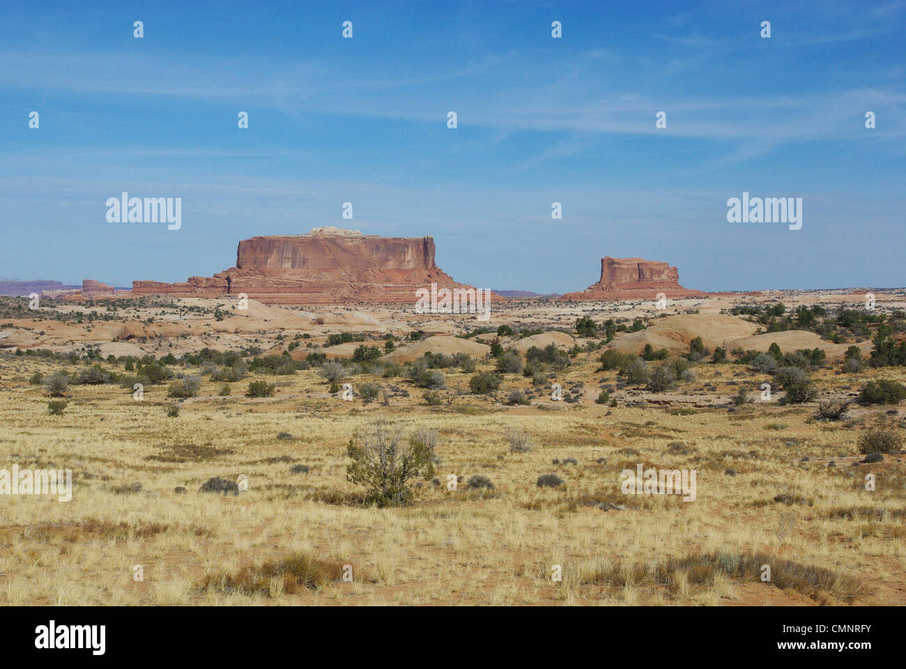 Barren desert with plant hi-res stock photography and images - Alamy