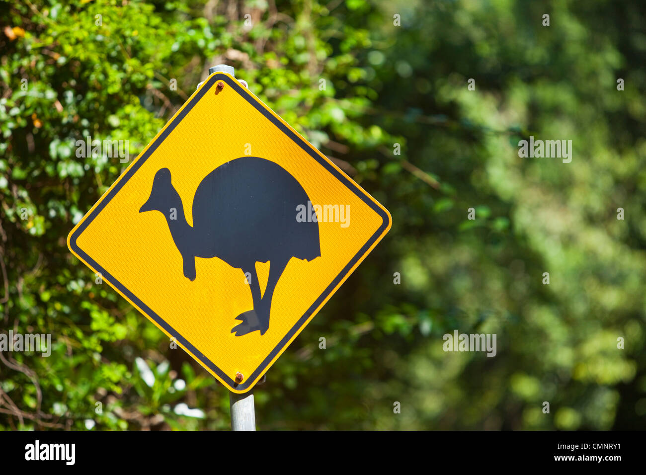 Australian road sign crossing hi-res stock photography and images - Alamy