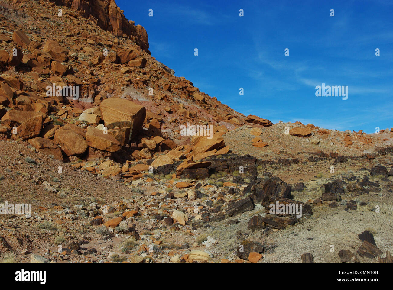 Petrified wood, orange rocks and blue sky, Utah Stock Photo - Alamy