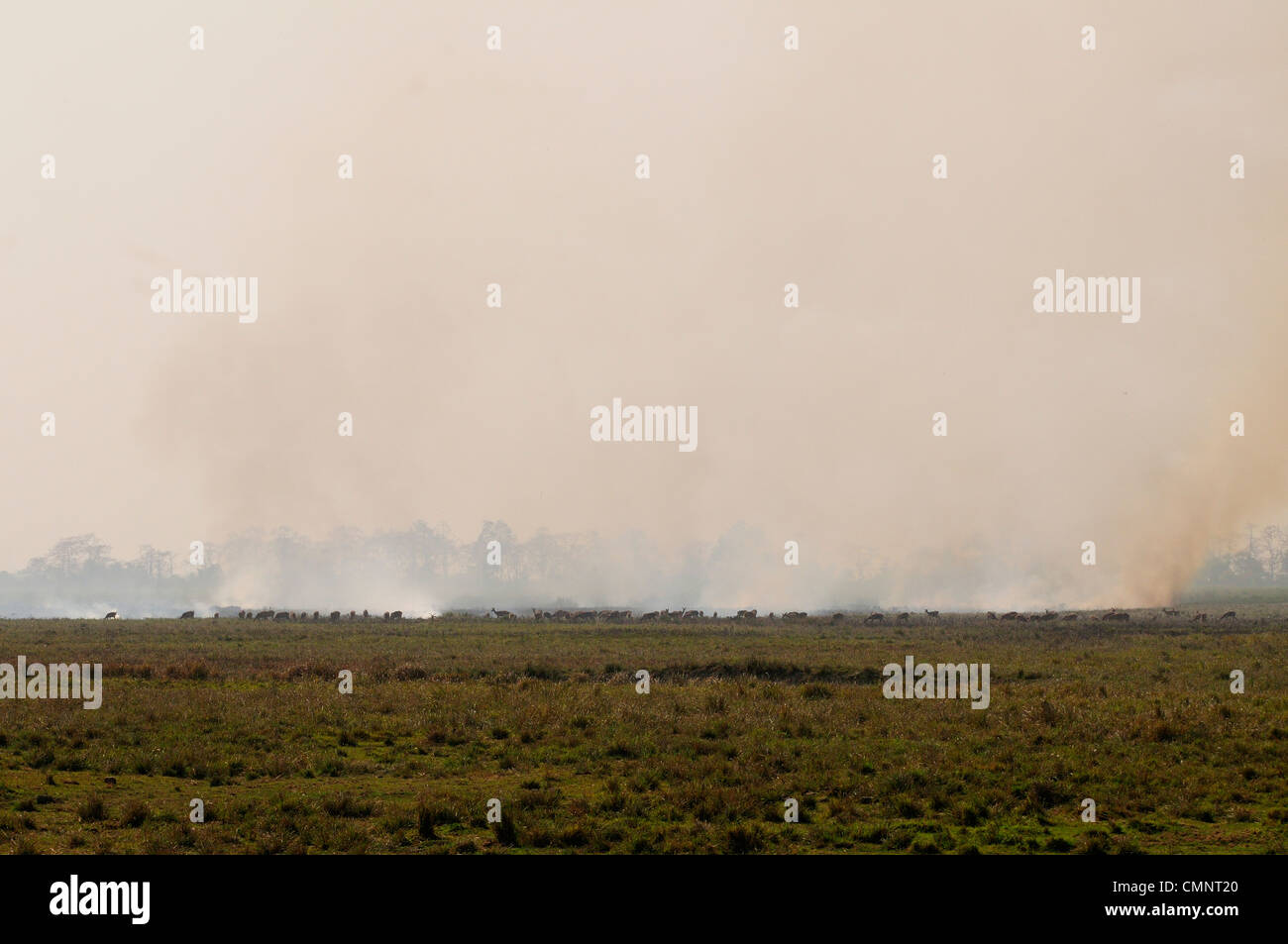 India controlled hi-res stock photography and images - Alamy