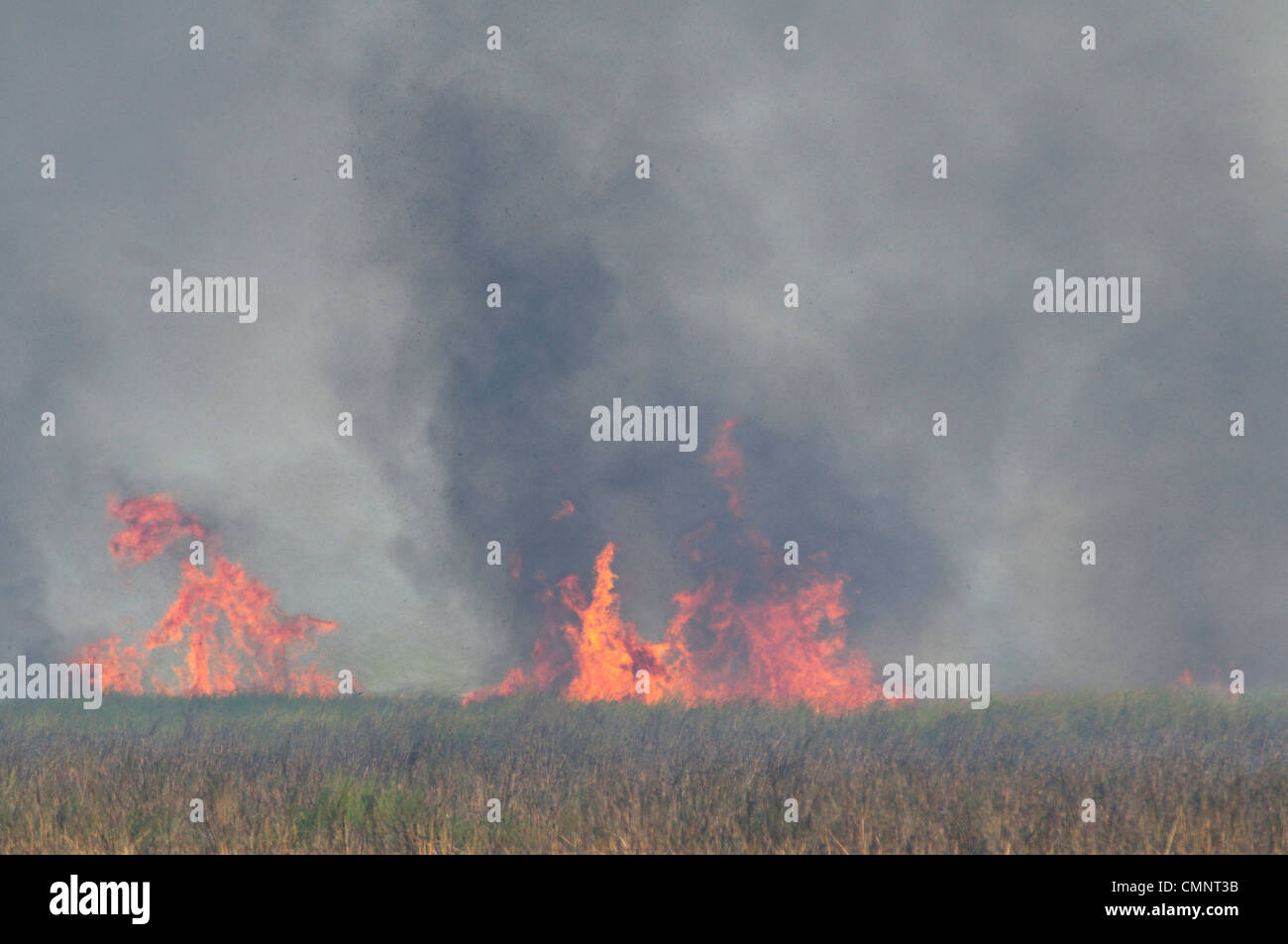 Beautiful controlled fire smoke flame hi-res stock photography and ...