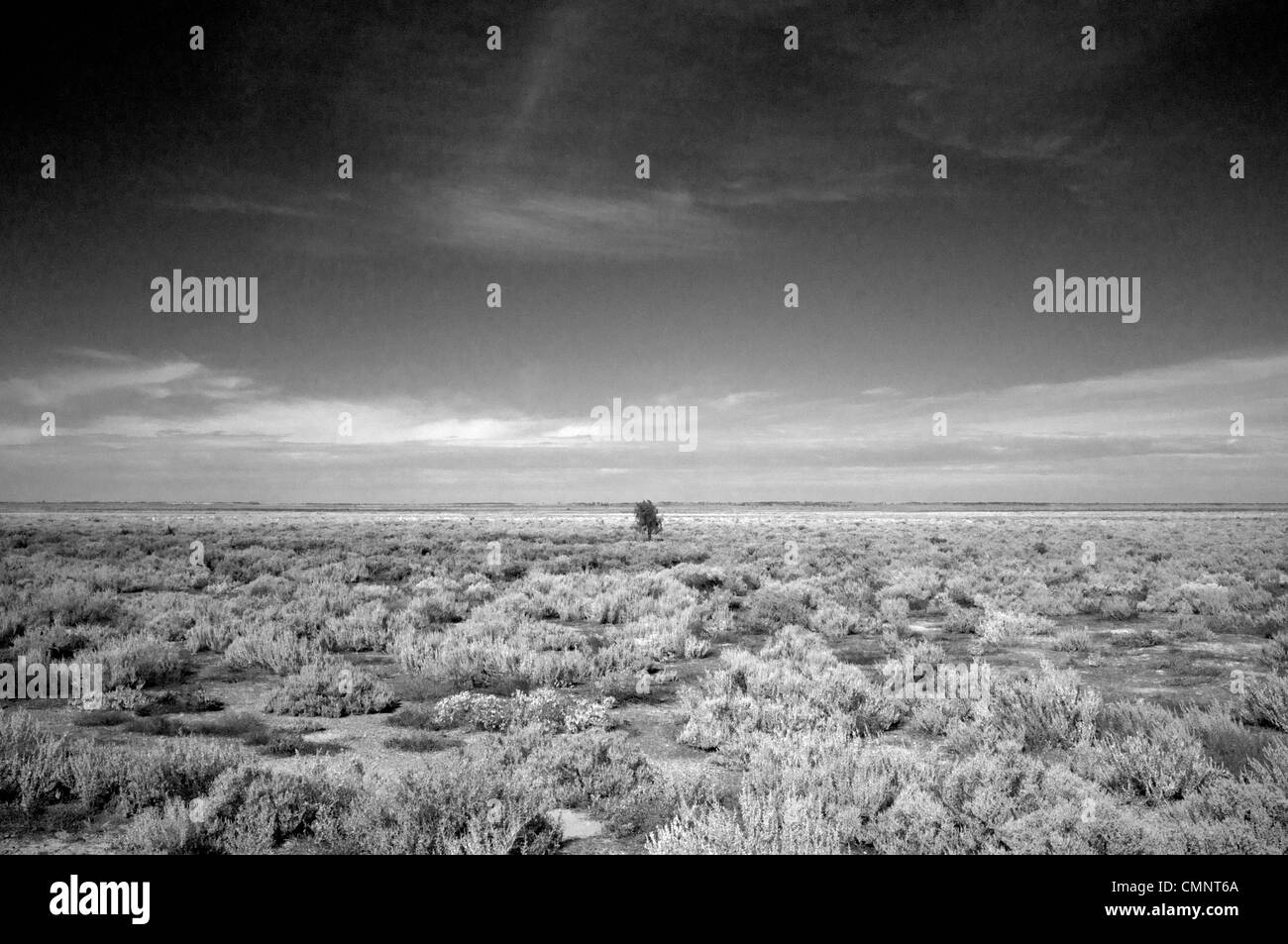 Australian aboriginal art landscape hi-res stock photography and images ...