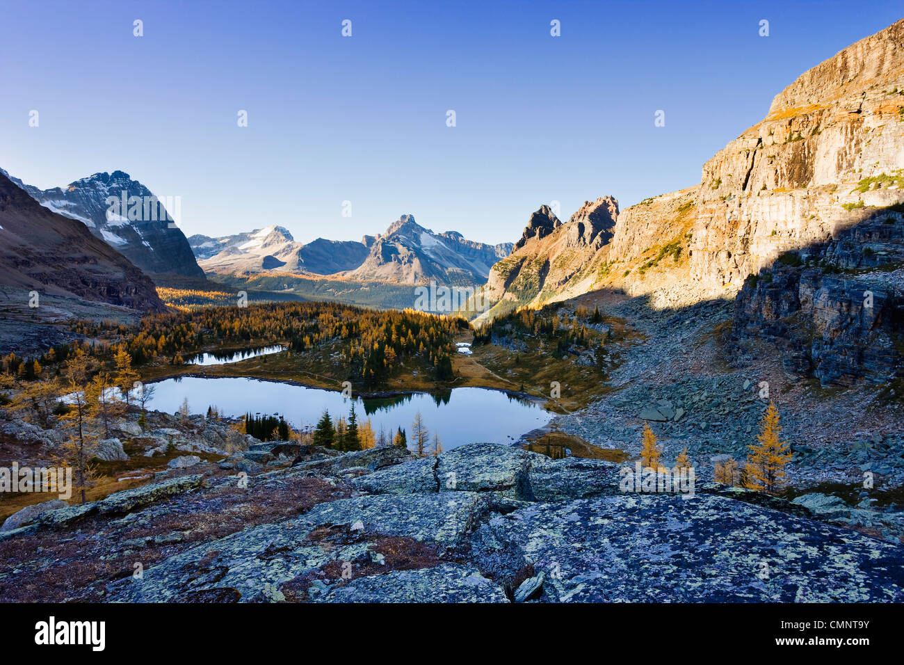 Opabin Plateau, Hungabee Lake and Mountains, Yoho National Park ...