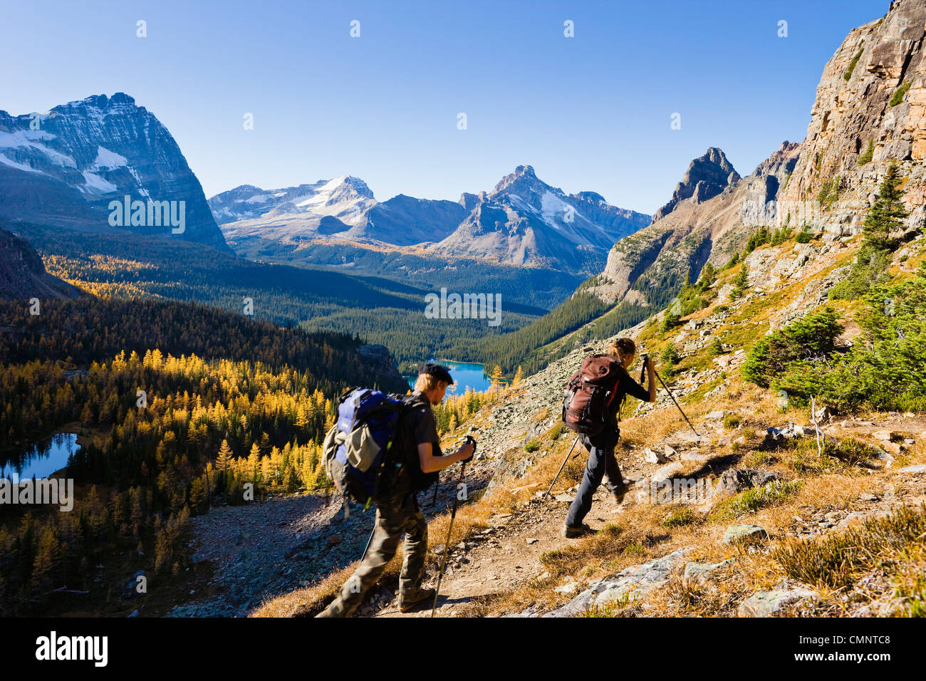 Hikers in the Opabin Plateau with Lake O'Hara in the background, Yoho ...