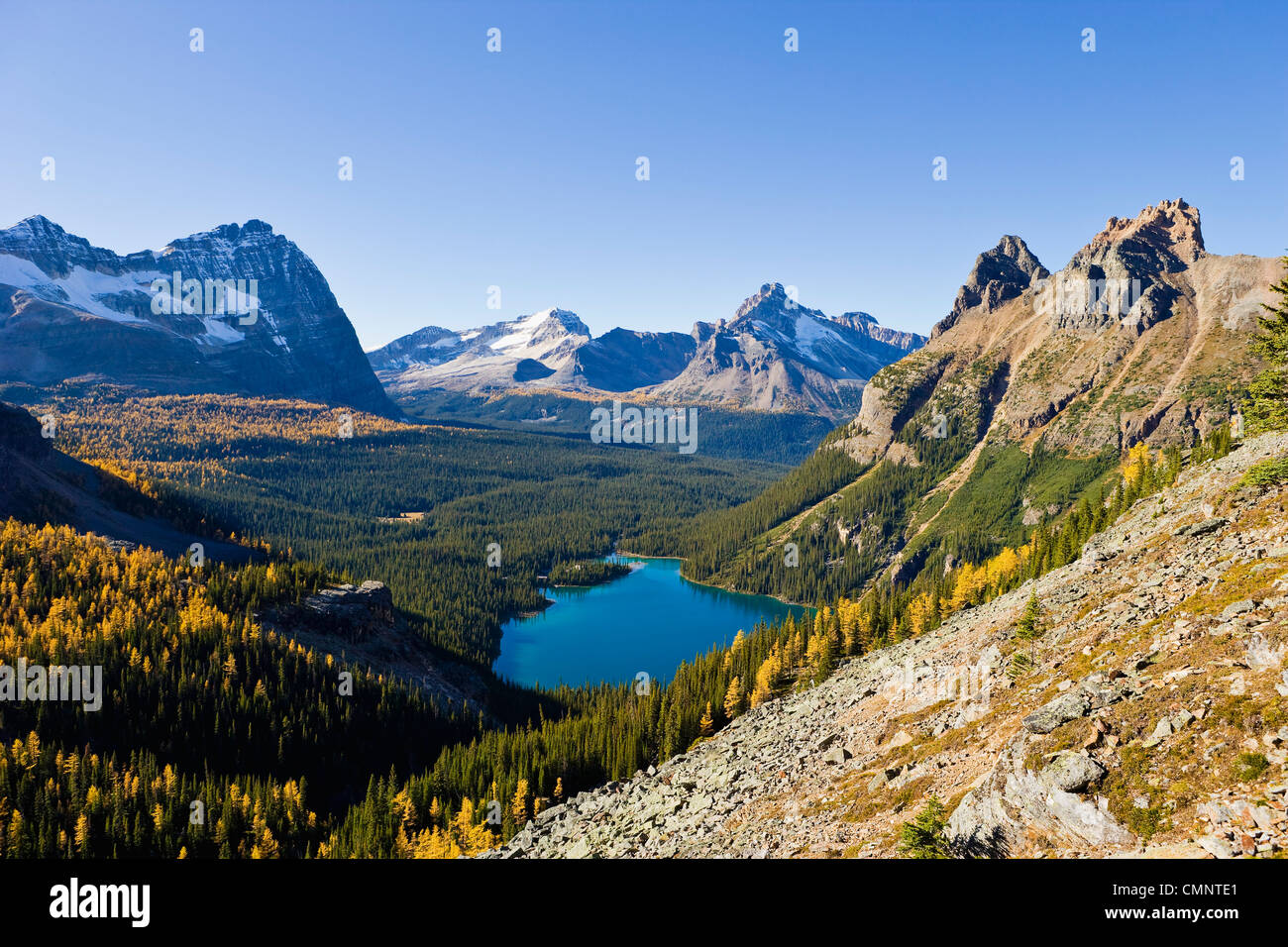 Opabin Plateau and Lake O'Hara, Yoho National Park, British Columbia ...