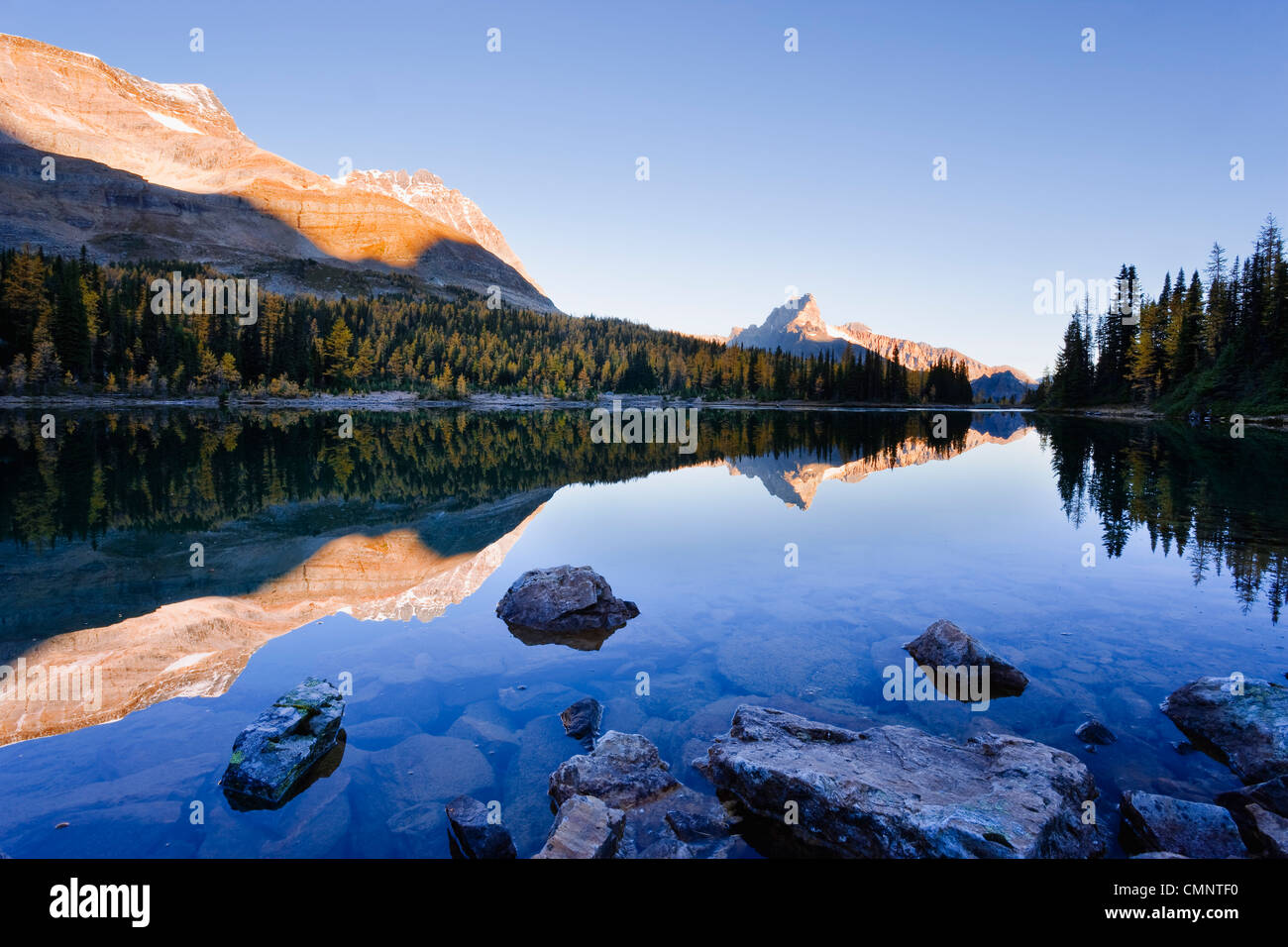 Cathedral mountain yoho national park hi-res stock photography and images - Alamy