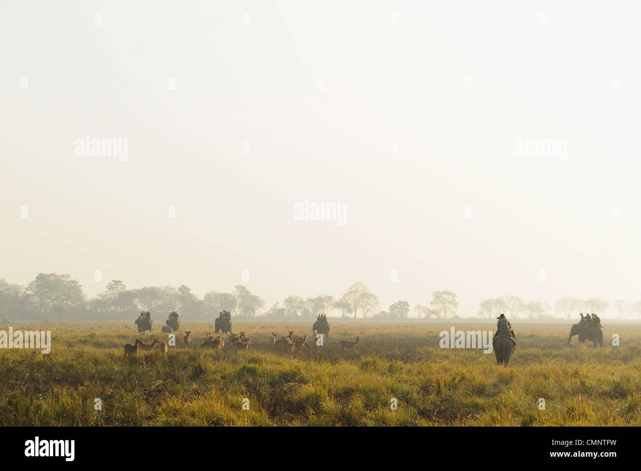 Eco safari india hi-res stock photography and images - Alamy