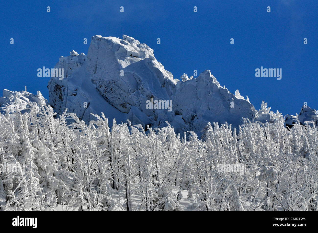 Cold winter day, Lookout Mountain, Elhorn Mountains, Oregon Stock Photo ...