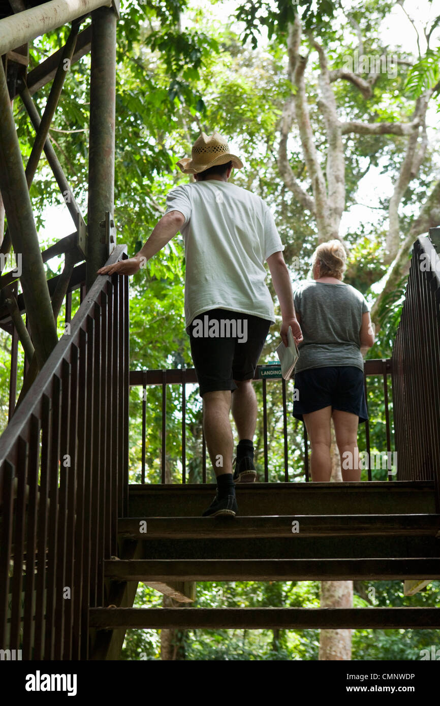 Canopy tower hi-res stock photography and images - Alamy
