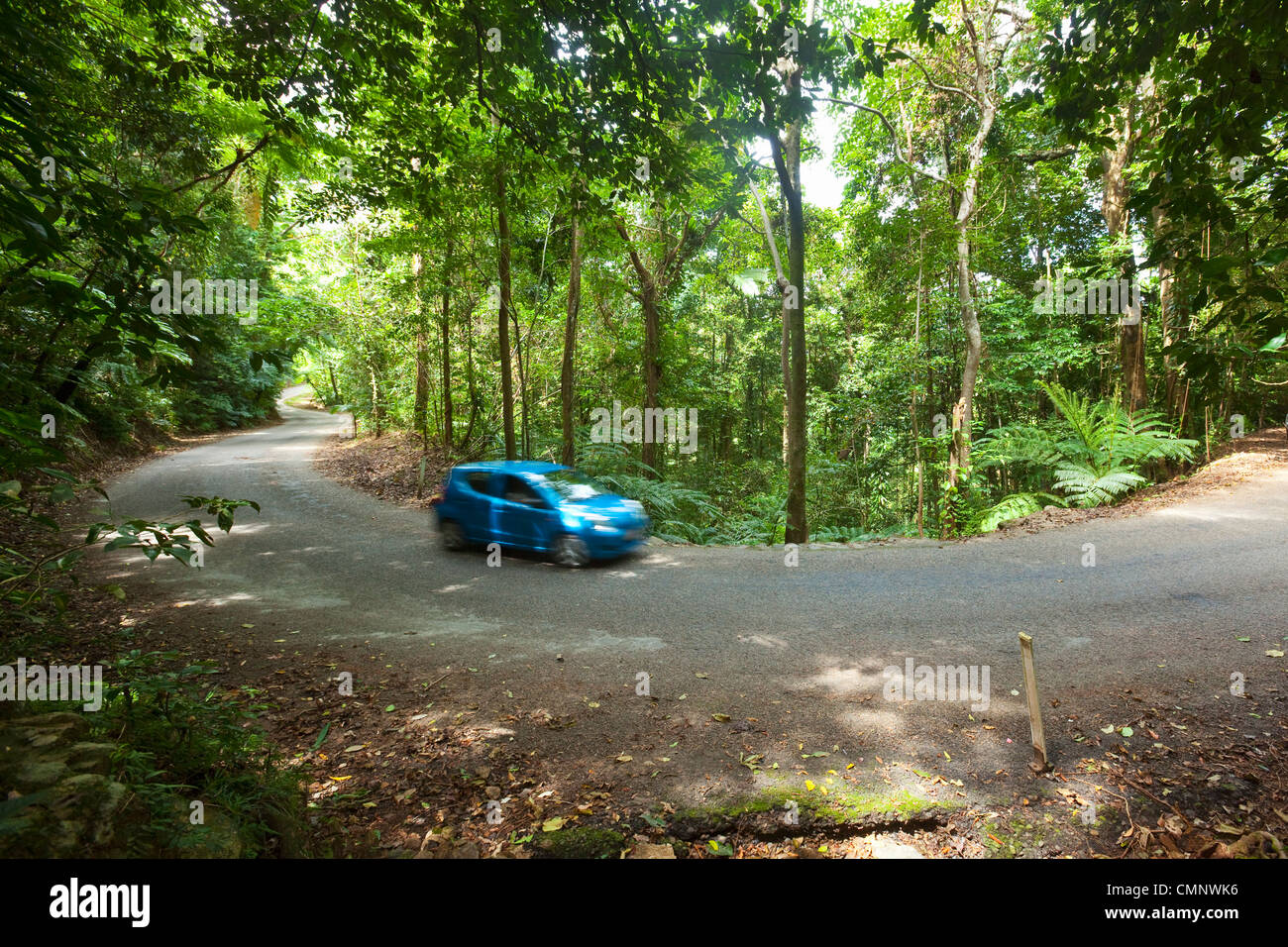 Car driving through rainforest in Daintree National Park, Queensland ...