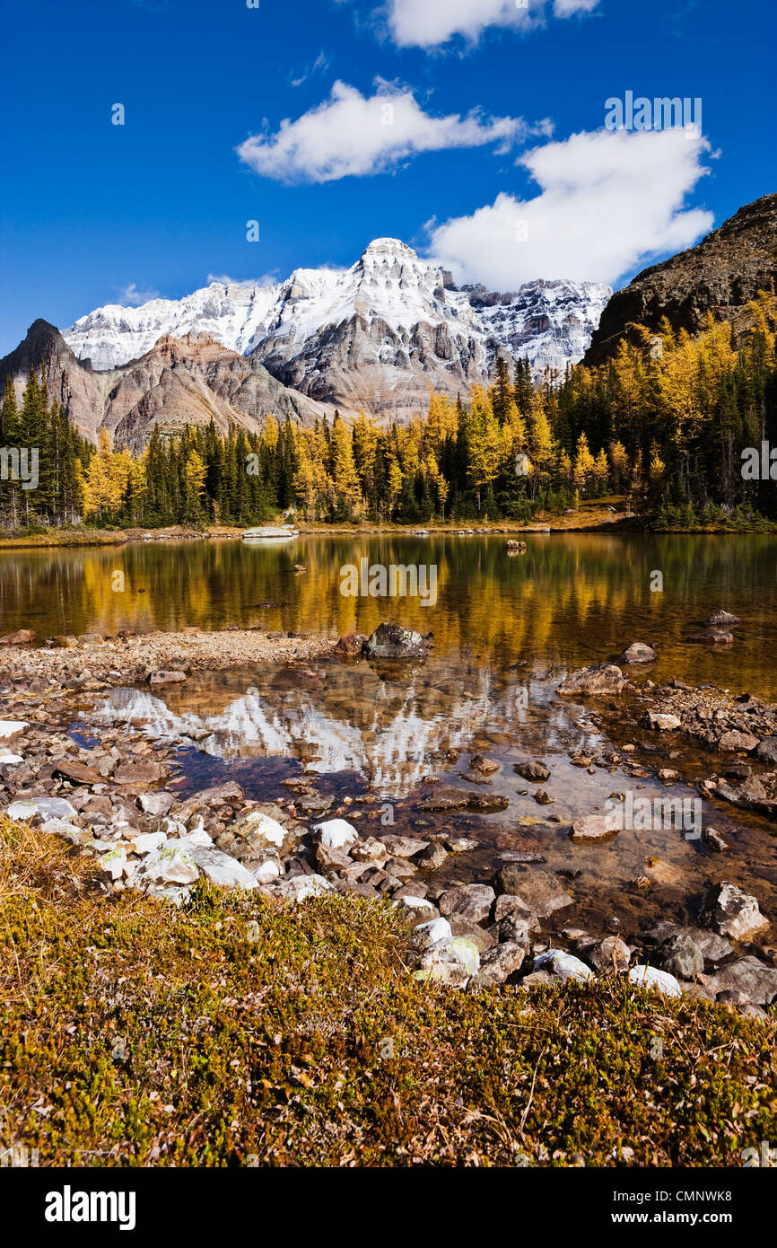 Schaffer Lake and Mount Huber, Yoho National Park, British Columbia ...