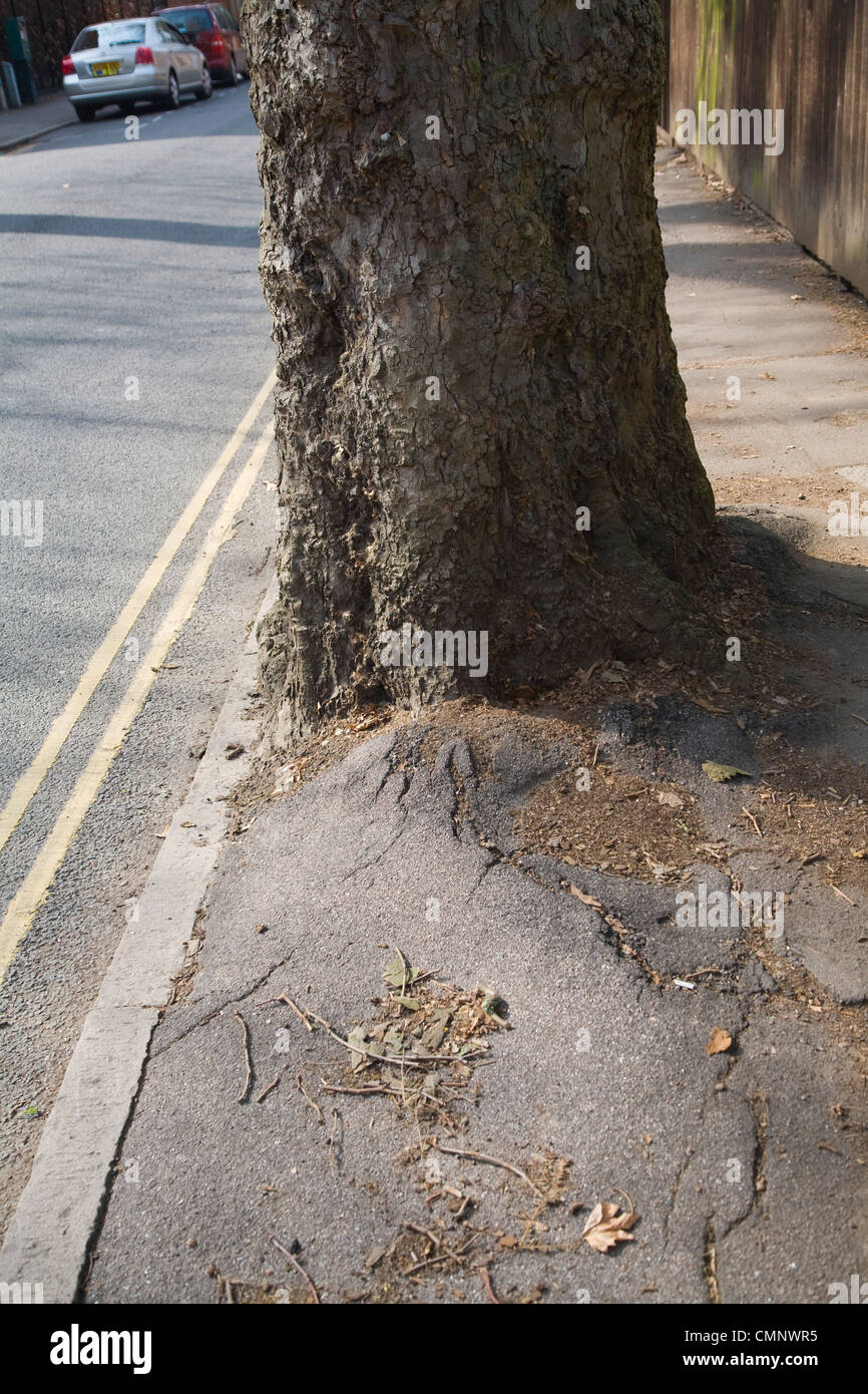 Biological weathering hi-res stock photography and images - Alamy