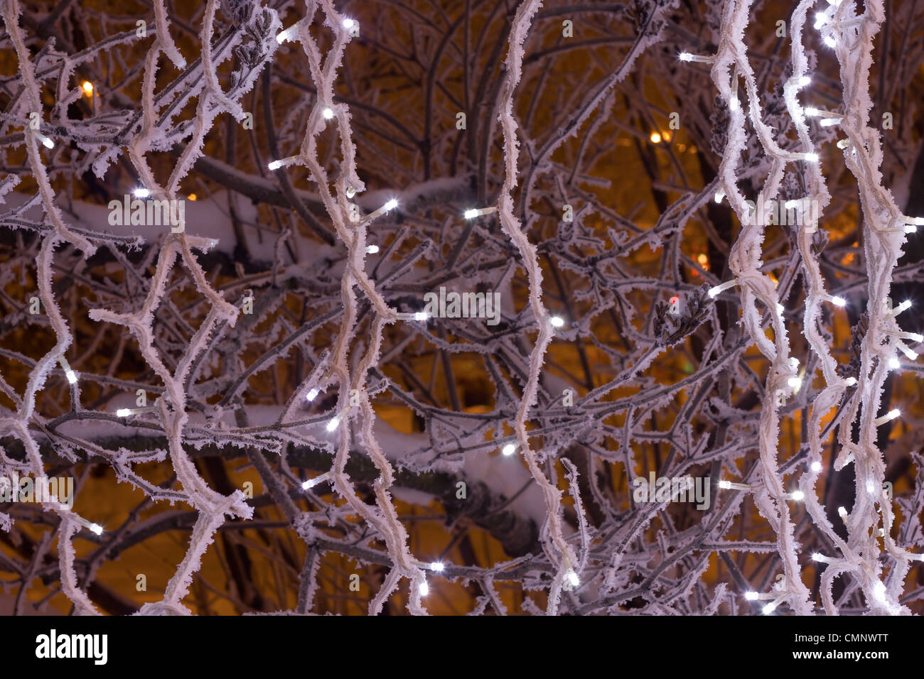 Winter, snow, frost, cristmas lights Stock Photo - Alamy