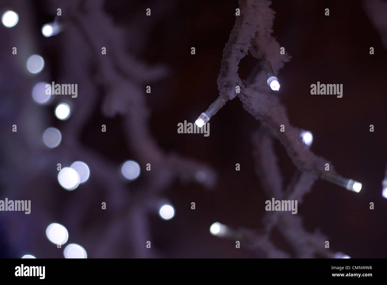 Winter, snow, frost, cristmas lights Stock Photo - Alamy