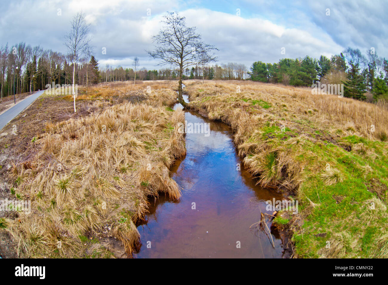Small river in the middle of the countryside in Denmark Stock Photo - Alamy
