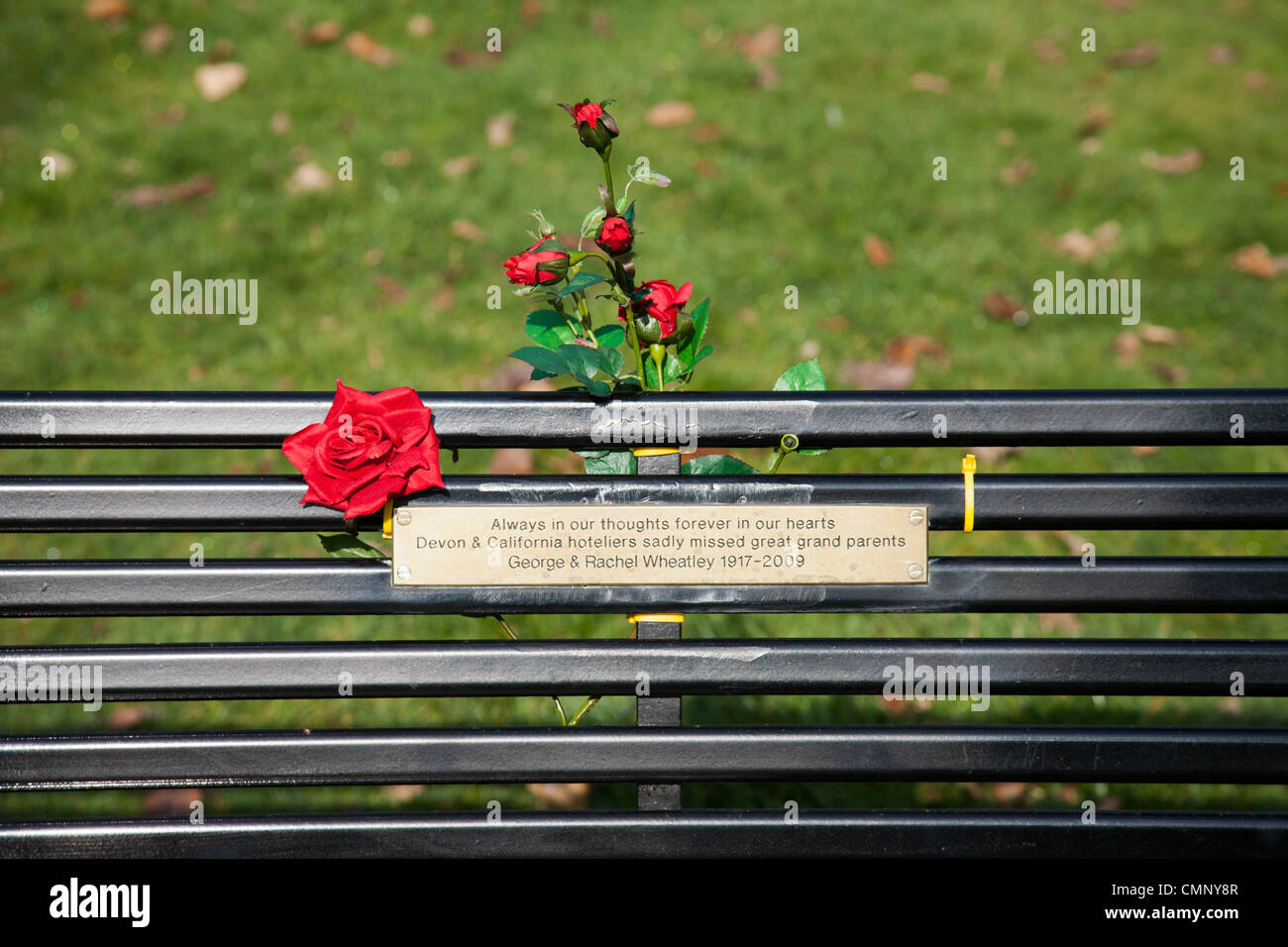 Cannizaro park wimbledon hi-res stock photography and images - Alamy