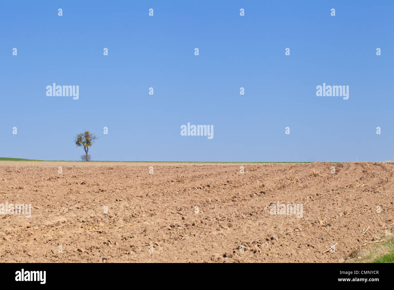 Drought field landscape in the countryside Stock Photo - Alamy