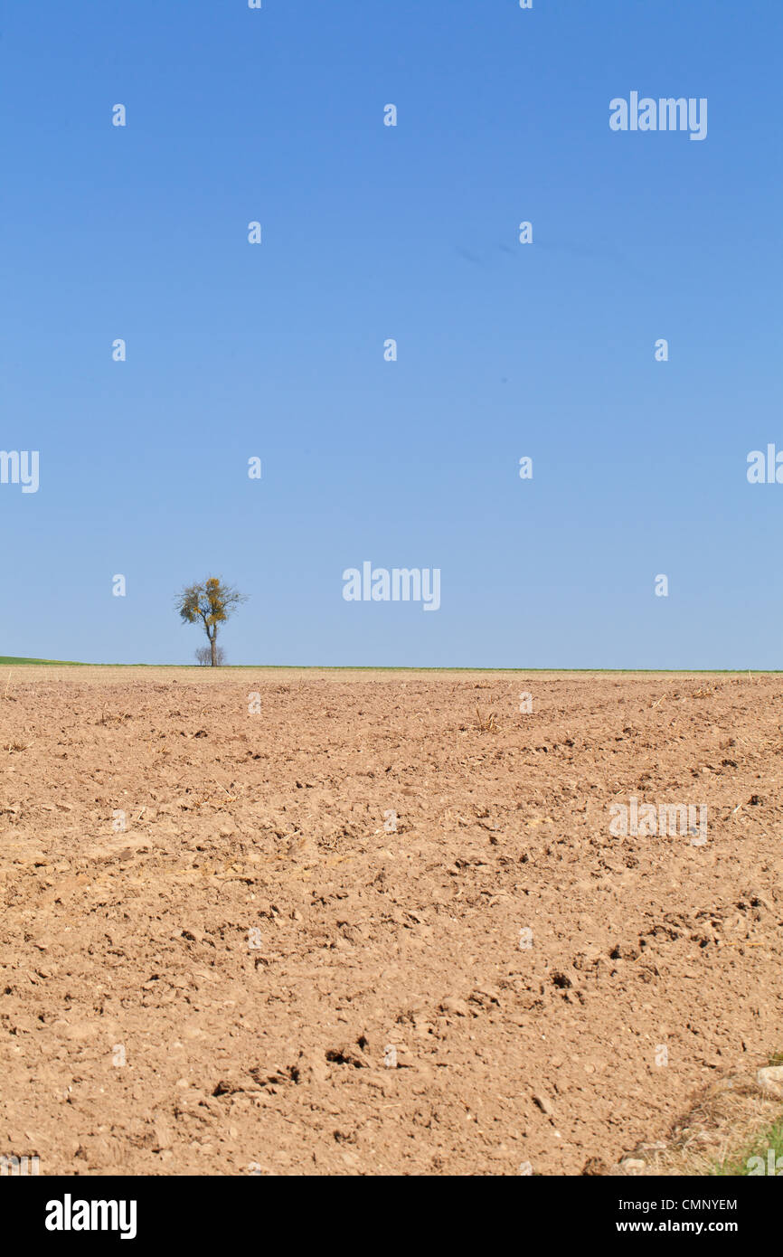 Drought field hi-res stock photography and images - Alamy