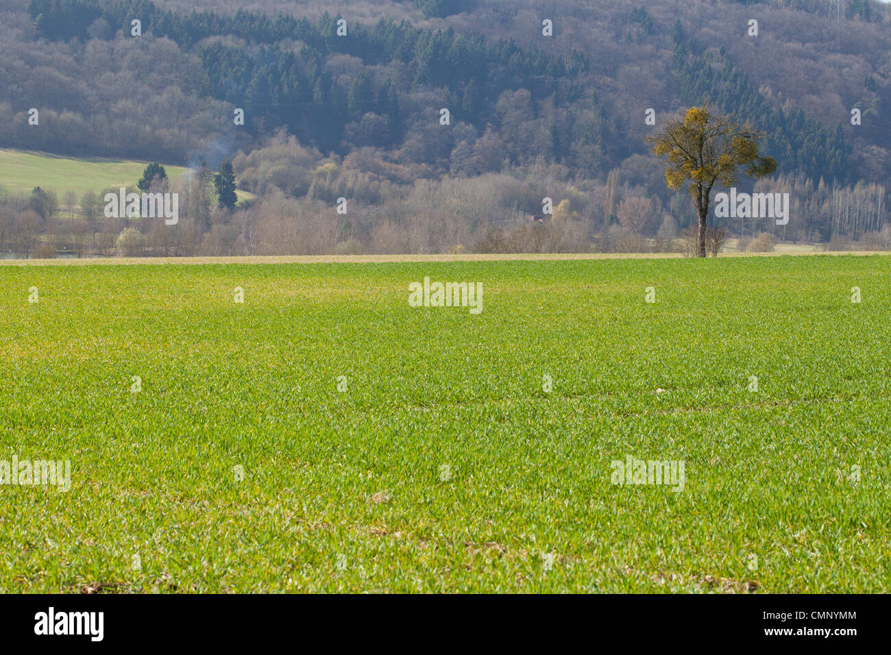 Luxembourg countryside hi-res stock photography and images - Alamy