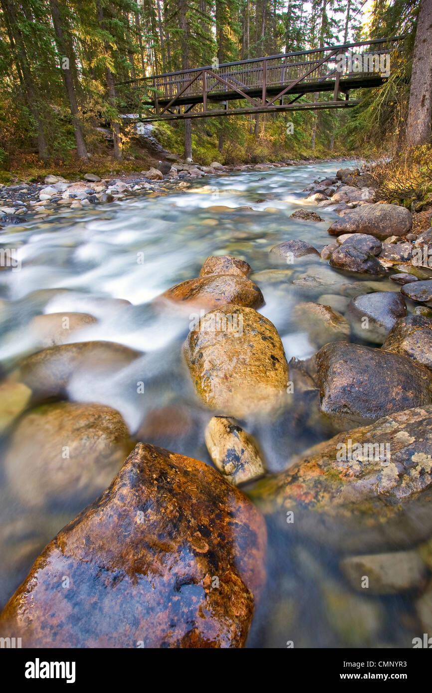 Johnston Canyon Creek, Banff National Park, Alberta Stock Photo - Alamy