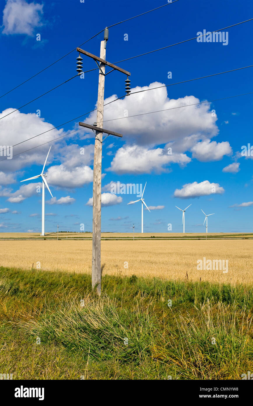 Wind energy farm and power transmission line, St. Leon, Manitoba Stock ...