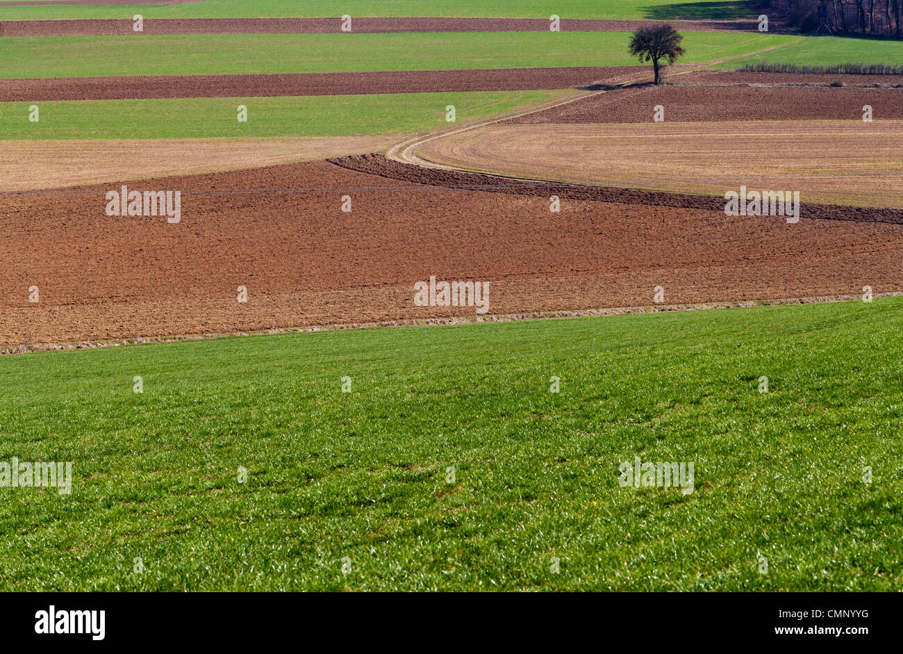 Beautiful countryside background with tree, grass and soil Stock Photo ...