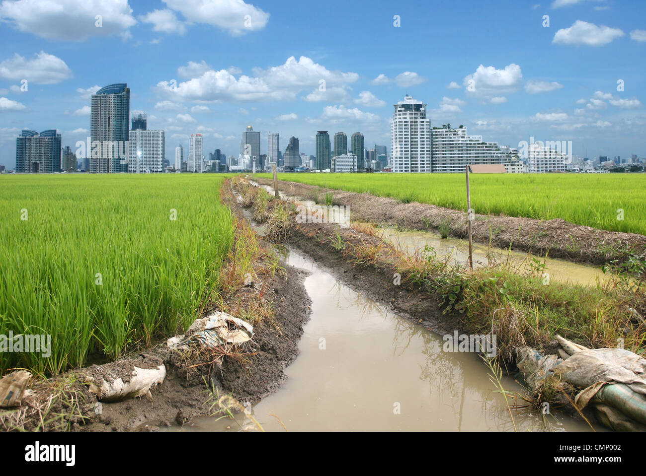 House on rice field hi-res stock photography and images - Alamy
