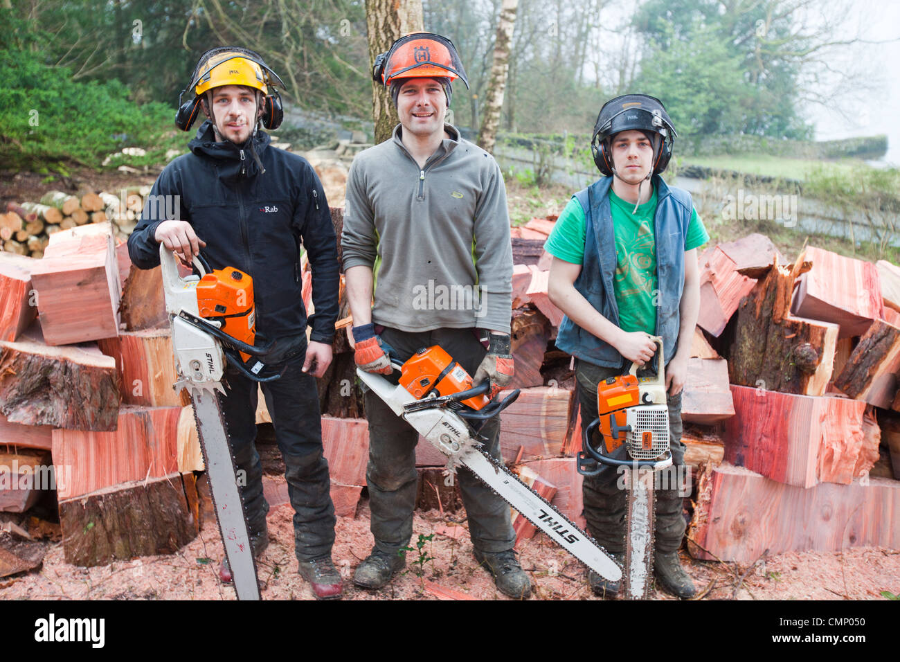 A massive Cedar tree that was infected with honey Fungus is chopped ...