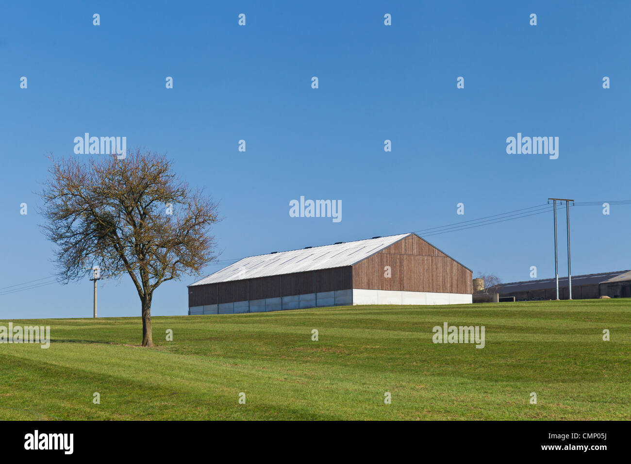 Farm in the countryside with a tree and a blue sky Stock Photo - Alamy