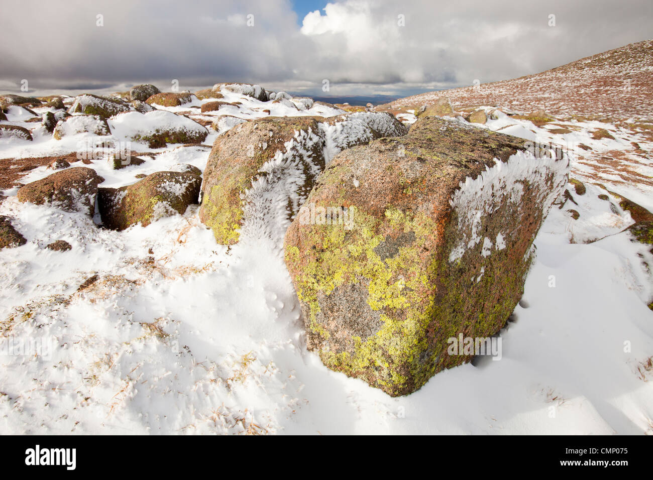 Hoare frost on a granite boulder on the Cairngorm plateau, Scotland, UK ...
