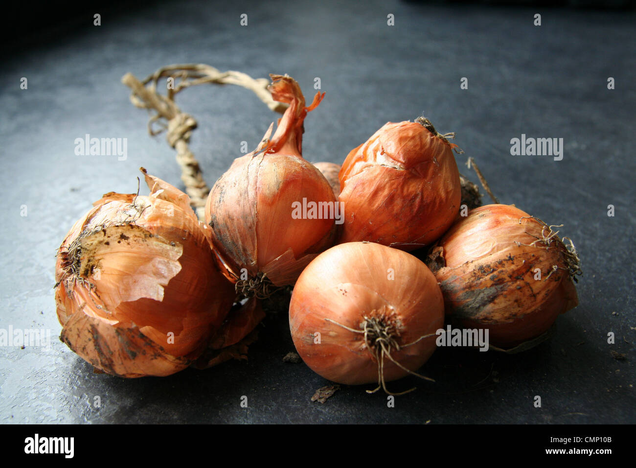 A plait of shallots on a black work surface in natural light (Allium ...