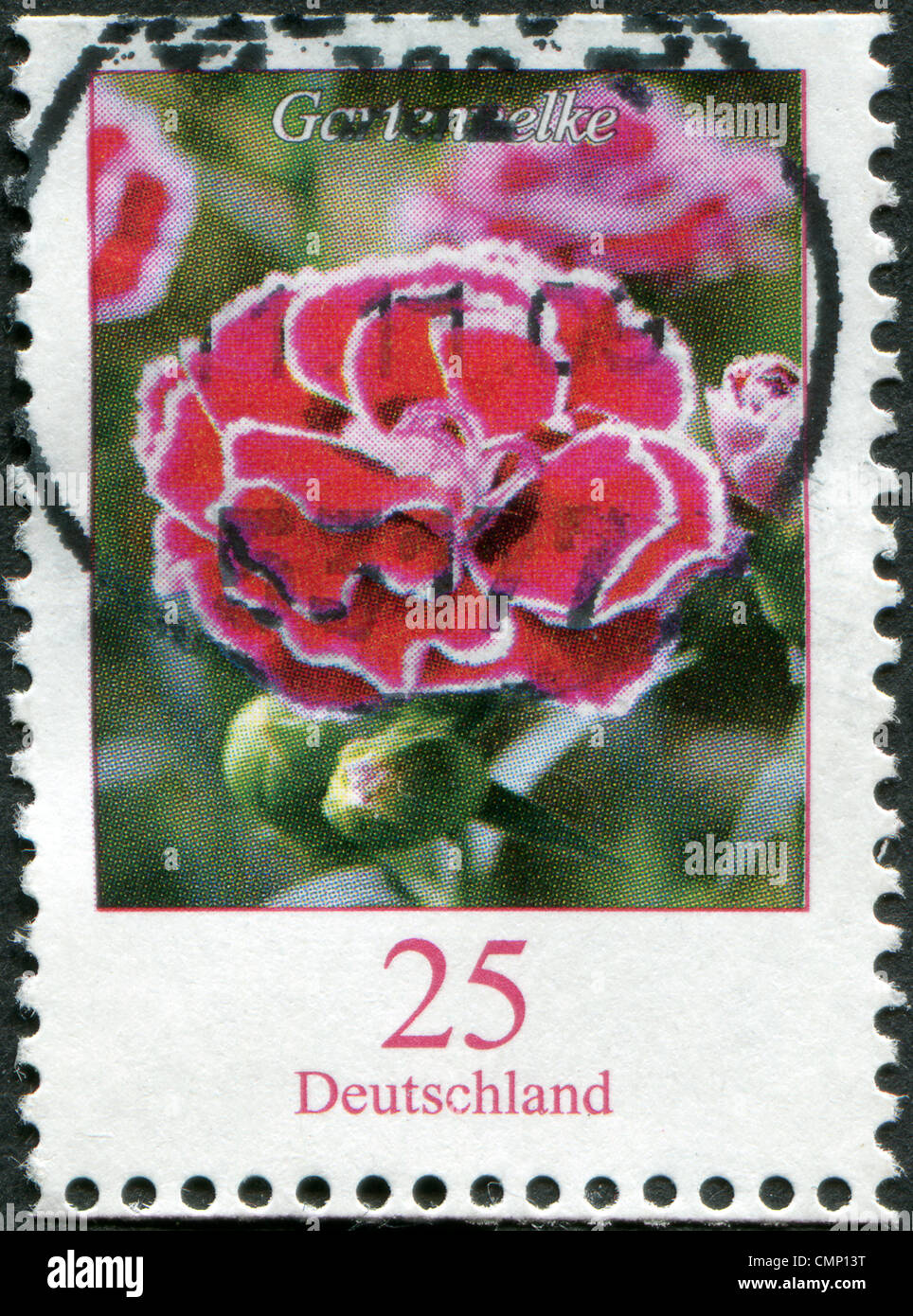 GERMANY - CIRCA 2008: A stamp printed in Germany, shows a flower ...