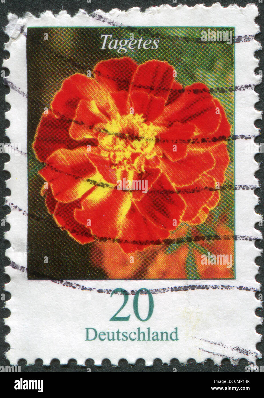 GERMANY - CIRCA 2005: A stamp printed in Germany, flower shows, Tagetes ...