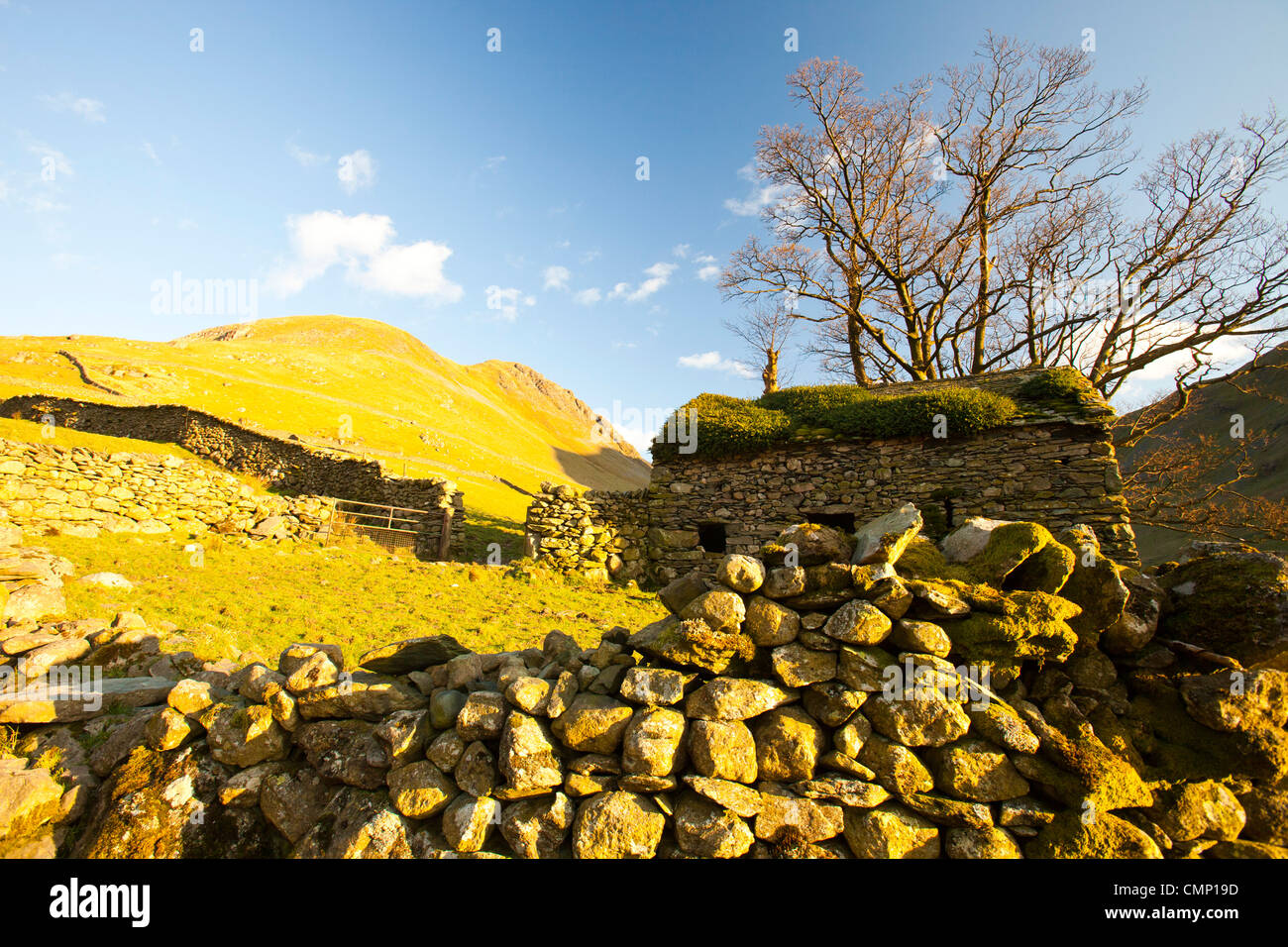Old lake district hill farm hi-res stock photography and images - Alamy Old lake district hill farm hi-res stock photography and images - Alamy