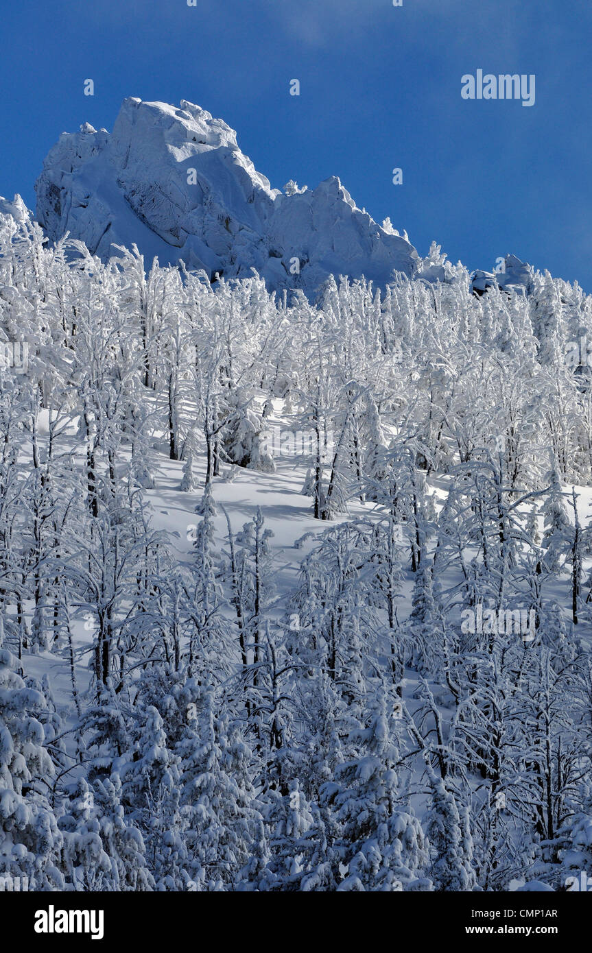 Elkhorn Mountain High Resolution Stock Photography and Images - Alamy