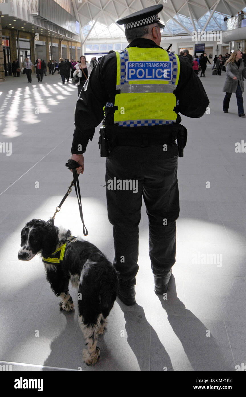 Back view British Transport Policeman in uniform & trained Spaniel ...