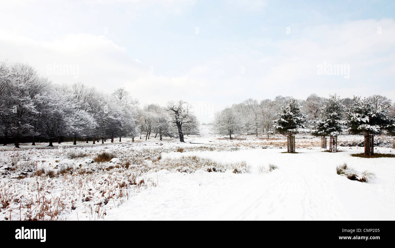 Winter landscape of Richmond Park, it is the largest park of the royal ...