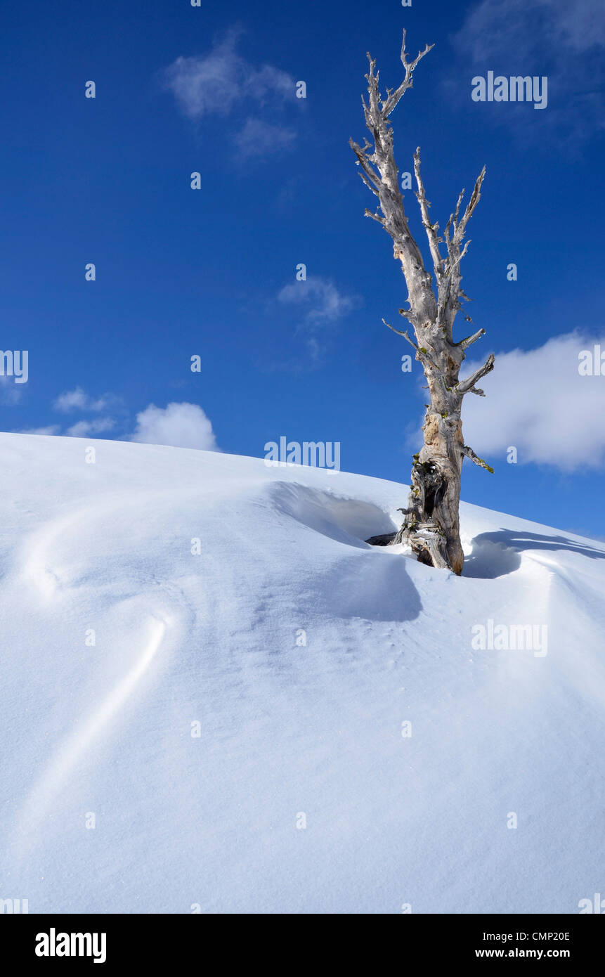 Dead mountains wilderness area hi-res stock photography and images - Alamy