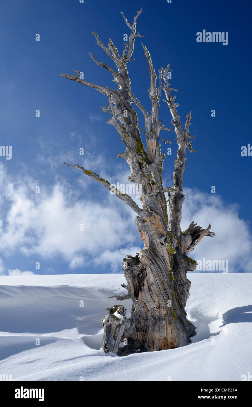 Dead mountains wilderness area hi-res stock photography and images - Alamy