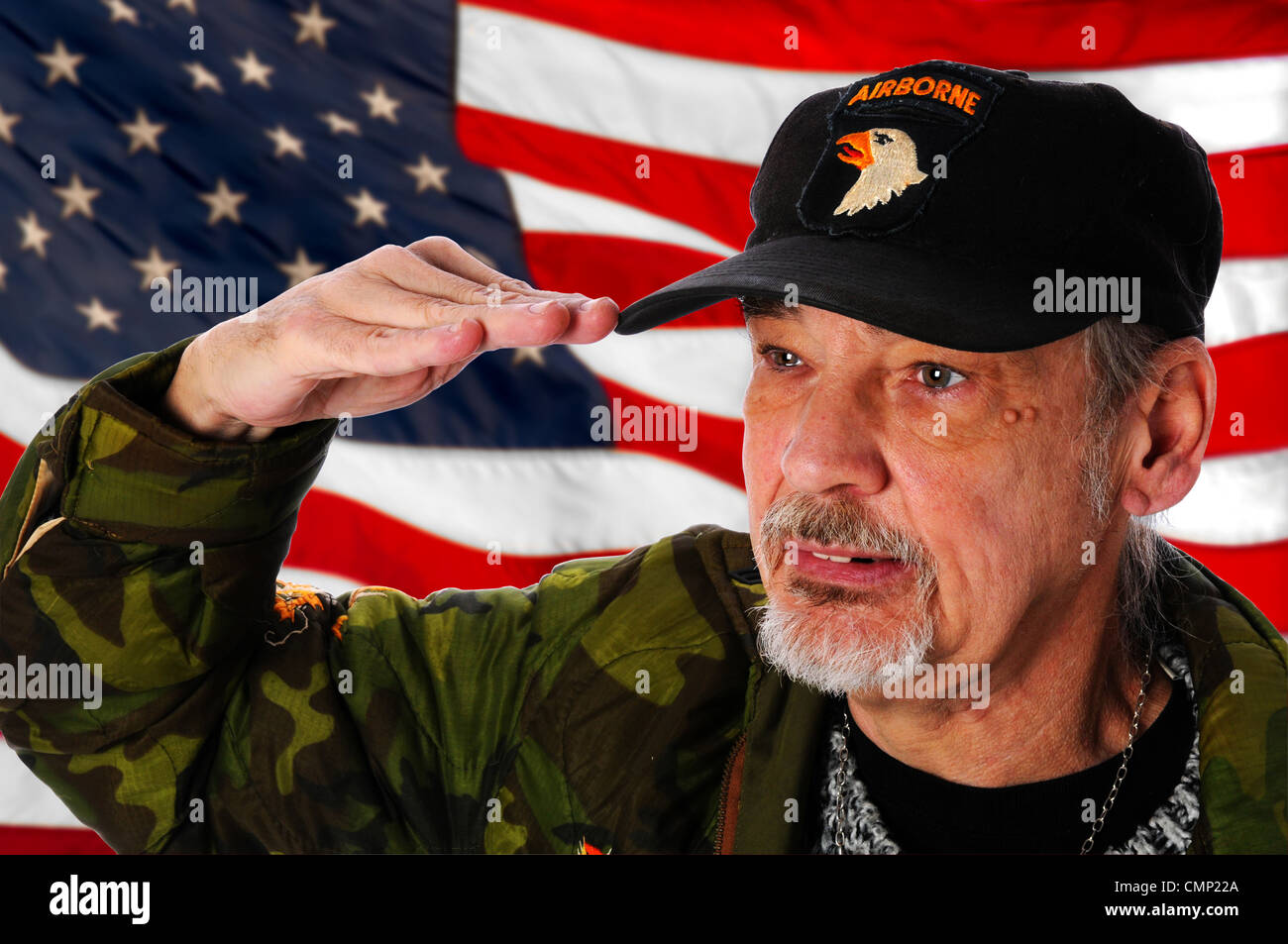 Veteran Saluting High Resolution Stock Photography and Images - Alamy